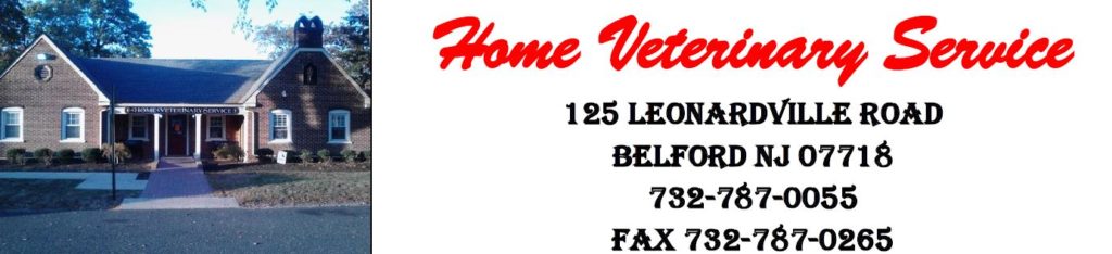Services | HomeVet